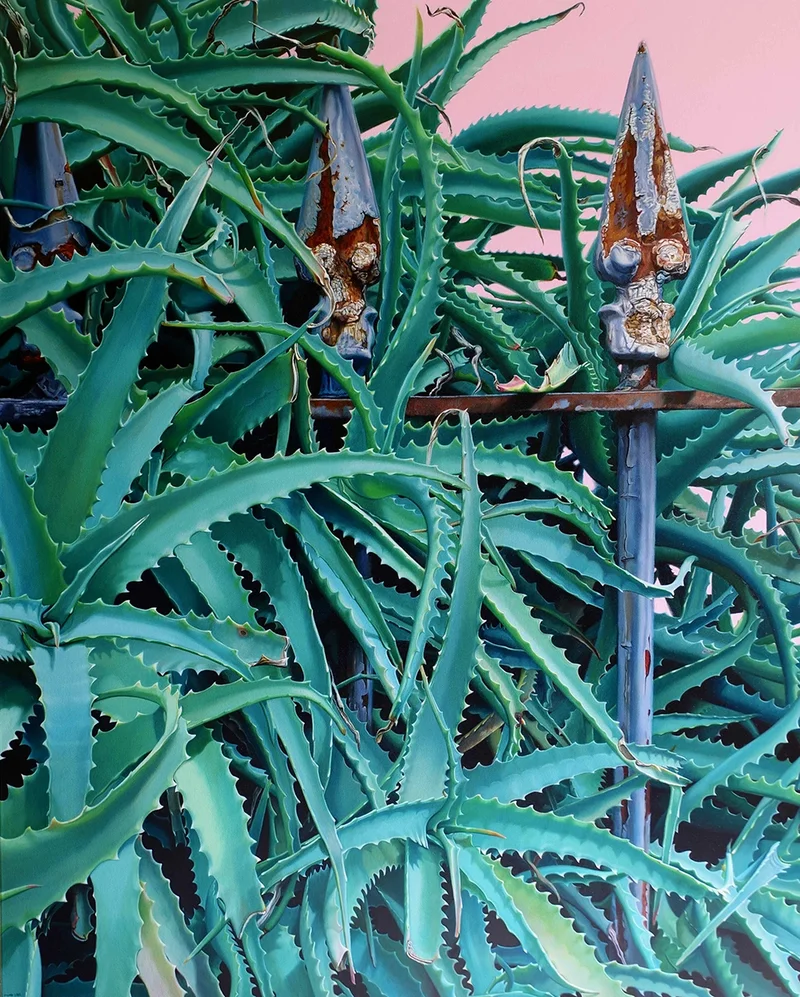 Sunshine Coast National Art Prize 2024 finalists